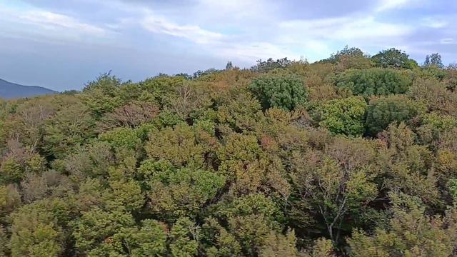 Ай-Петри. 2024