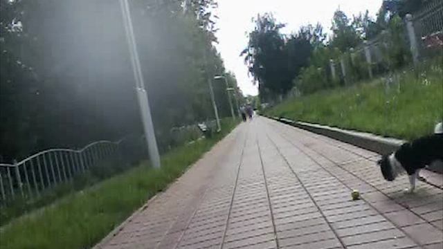 Прогулки со Шваброй. Яблоко задора