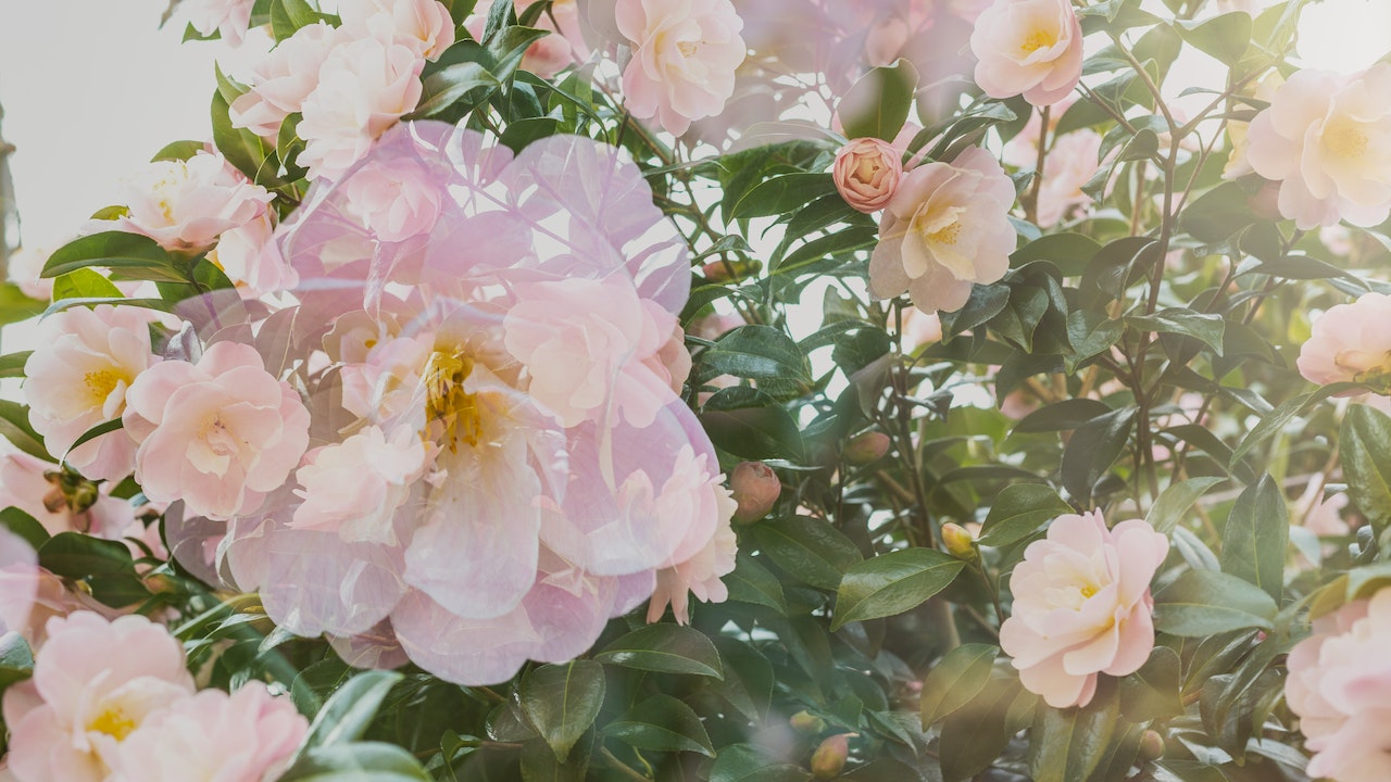 Музыка для медитации, расслабления, спа или учебы.