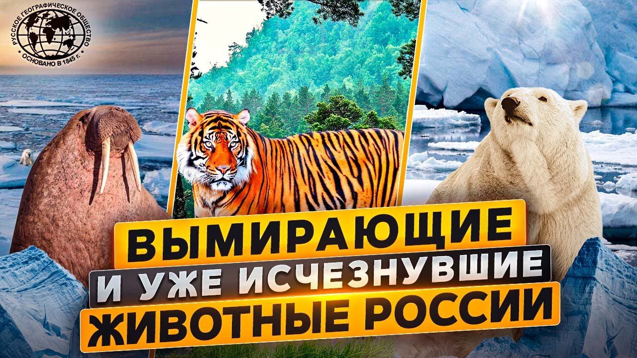 Красное и черное |  @rgo_films