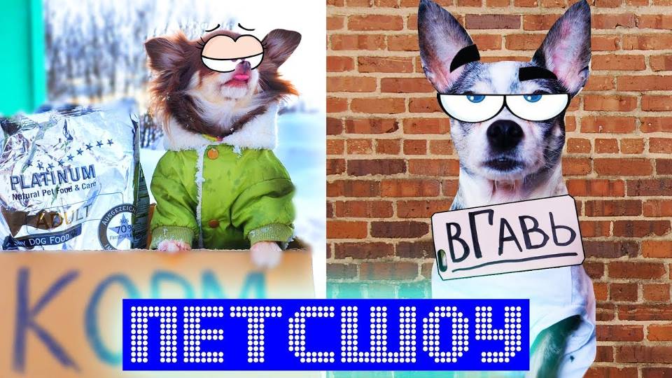 ПЕТСКАВЕР МАРИ СЕНН 🎤🐾 ПАРОДИЯ НА КЛИП ОТ ВОЛШЕБНЫХ ПИТОМЦЕВ