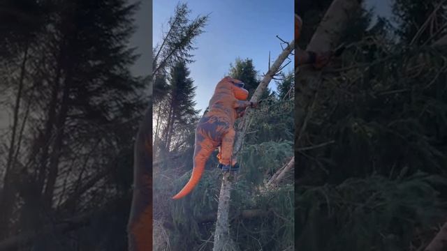 Dinosaur is climbing the tree