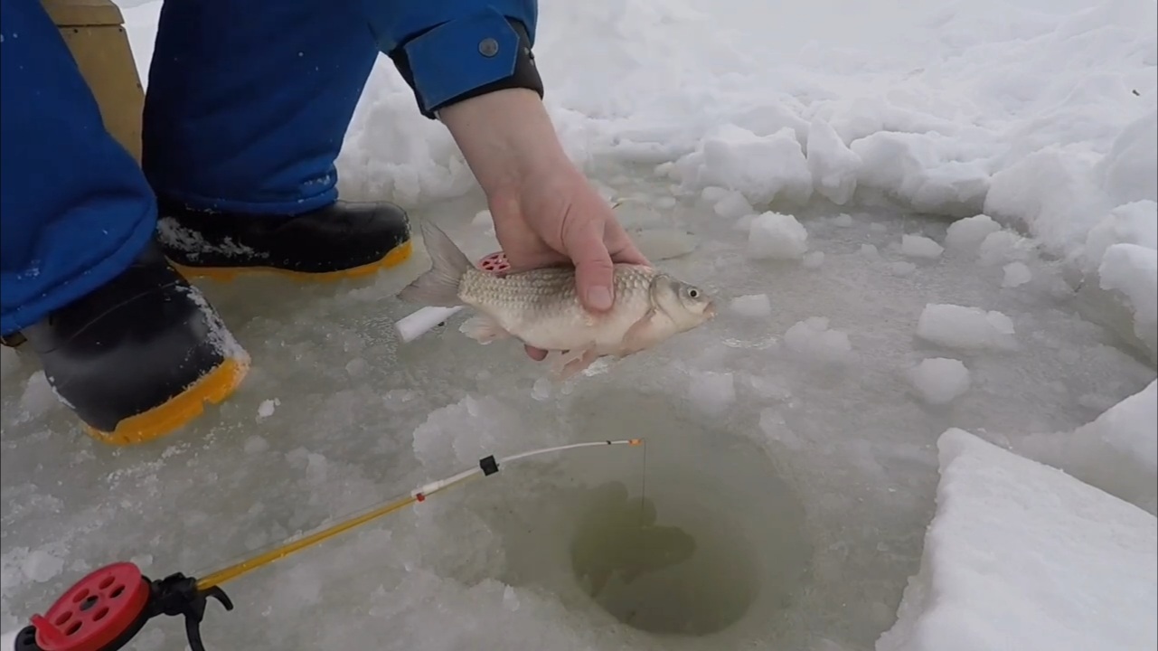 КАРАСЬ ЕСТЬ,НО НАДО ИСКАТЬ оз.УЕЛГИ❗.mp4