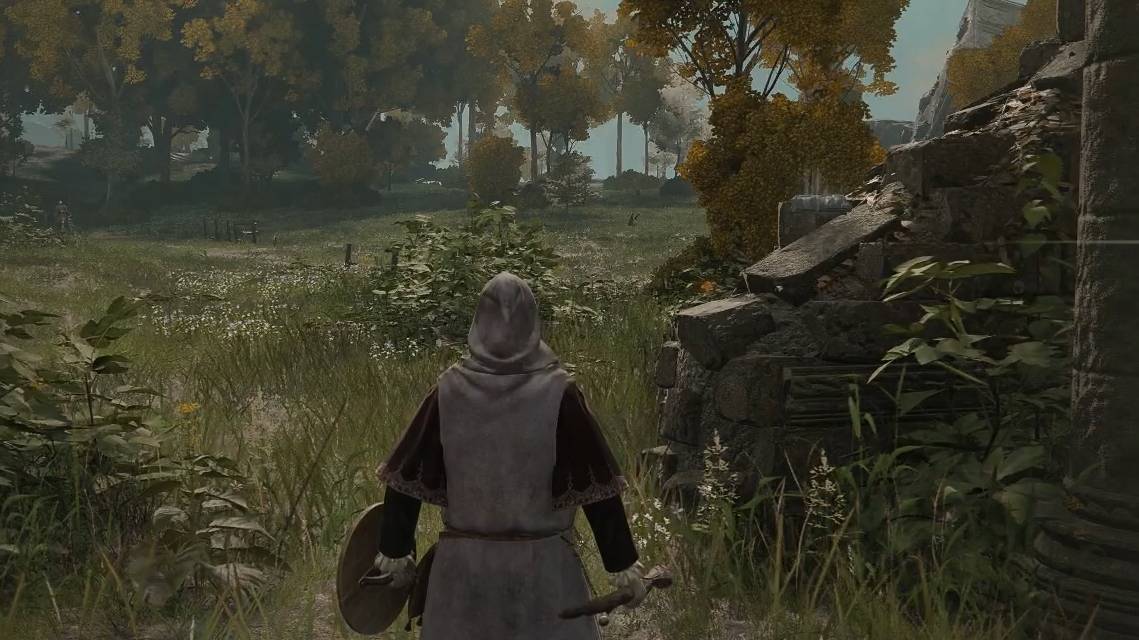 Прохождение ELDEN RING l Начальный билд на мага # 2