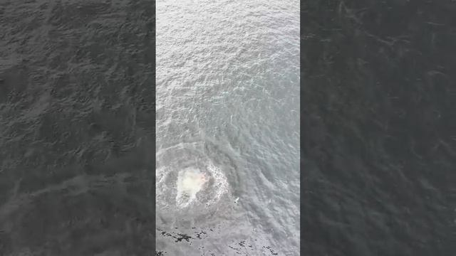 С моста в фьорд