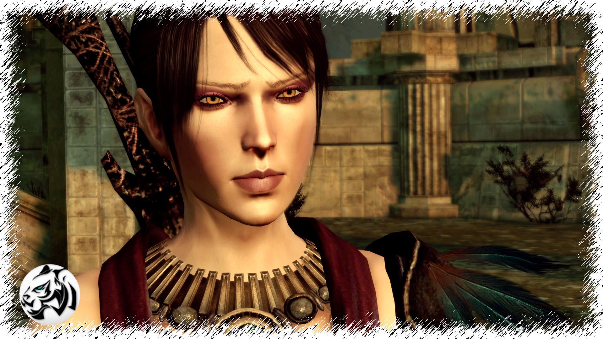 Dragon Age: Origins. Разбойник #6. Морриган