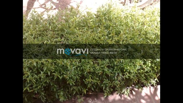 Касабланка- марракеш. casablanca-marrakech.