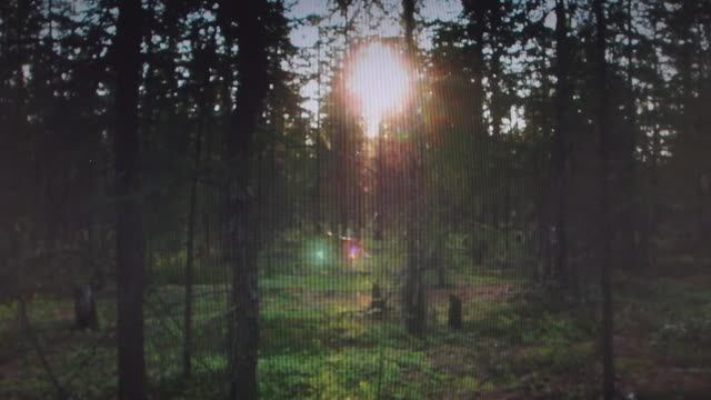 Ориентирование по звездам. Часть 13 - Солнце в умеренных широтах