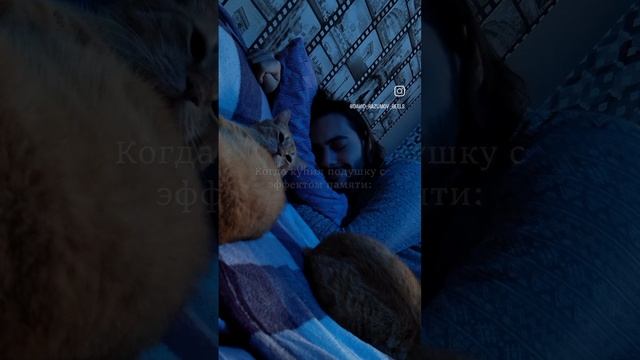 Подушка с памятью