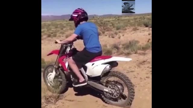 Прикольные видео приколы.