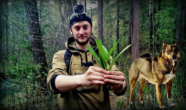 Поход за черемшой с собаками