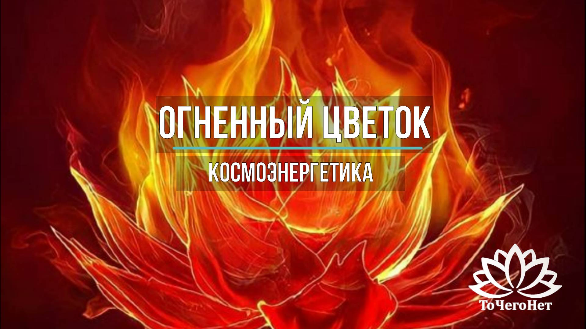 Огненный цветок. Космоэнергетика. Школа Космоэнергетики Алексея Станько "ТоЧегоНет"