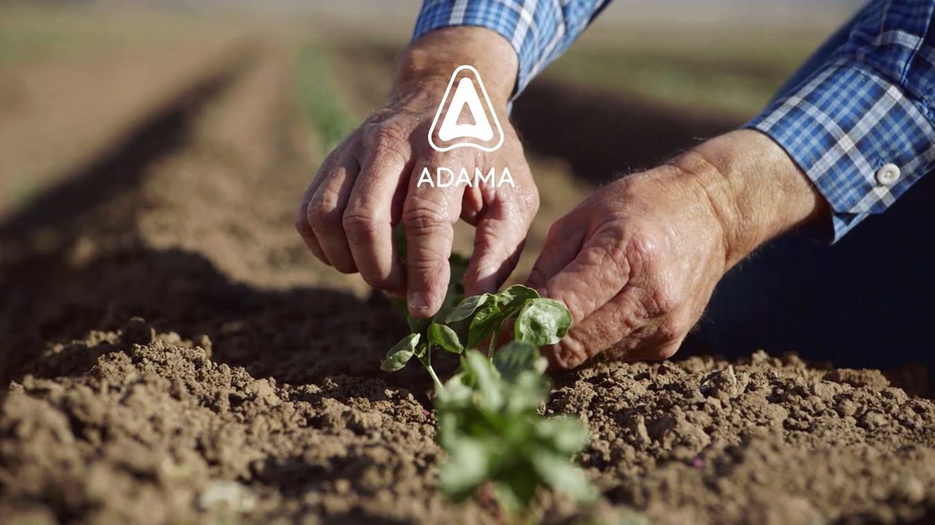 ADAMA - мировой лидер в области защиты растений от сорняков, насекомых-вредителей и болезней
