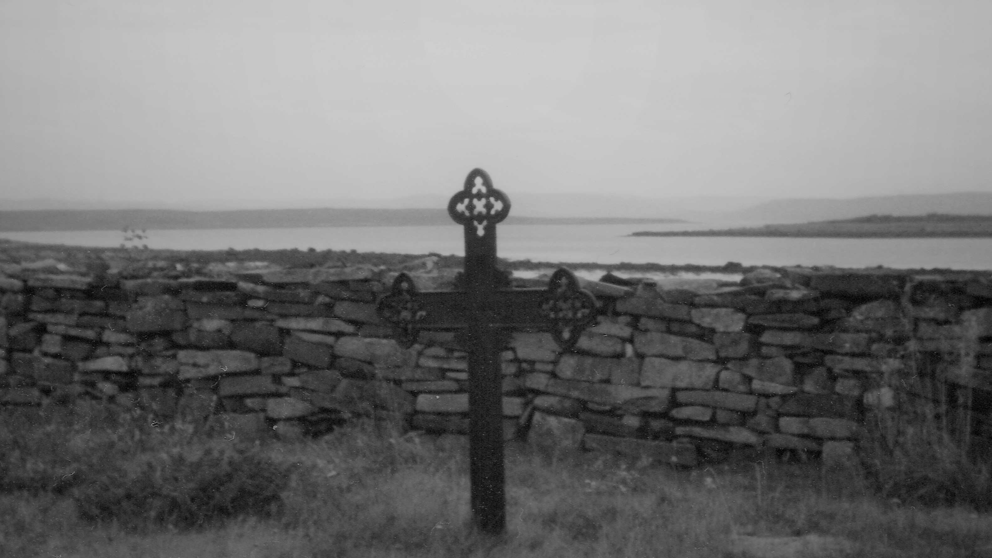 Итак: политическая пандемия и разрушение 14