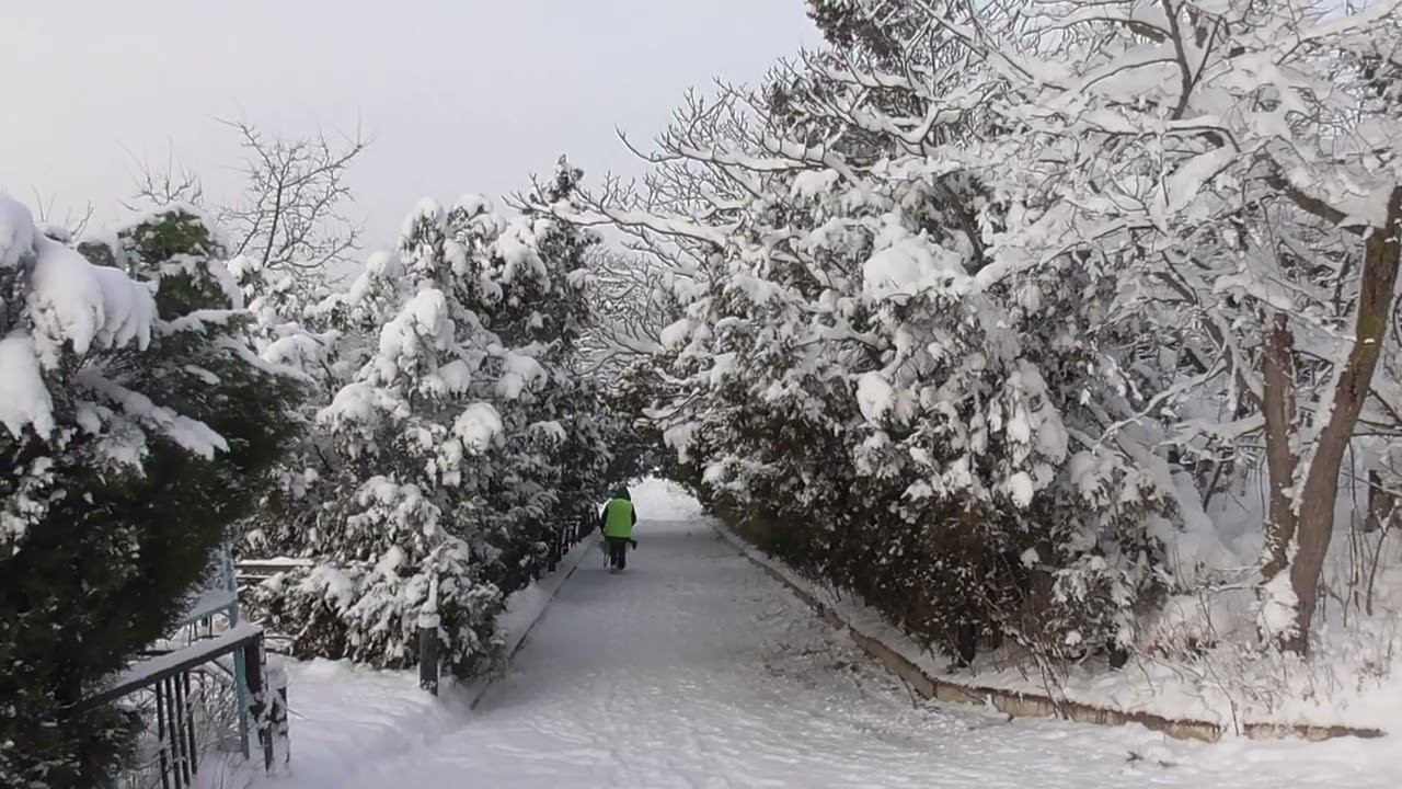 Татьянин день