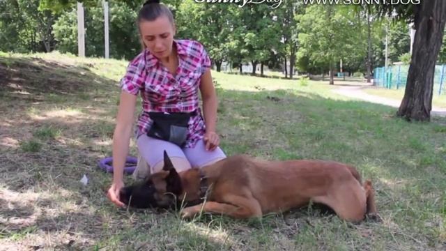 Развитие координации движений