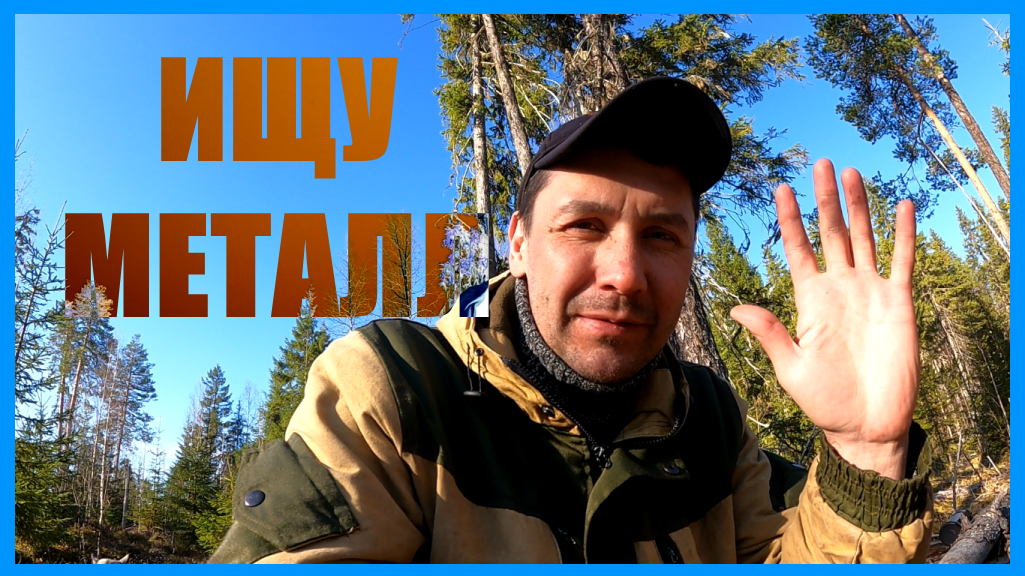 Проверил фотоловушки. Нашёл металл в лесу. Кормлю клещей.