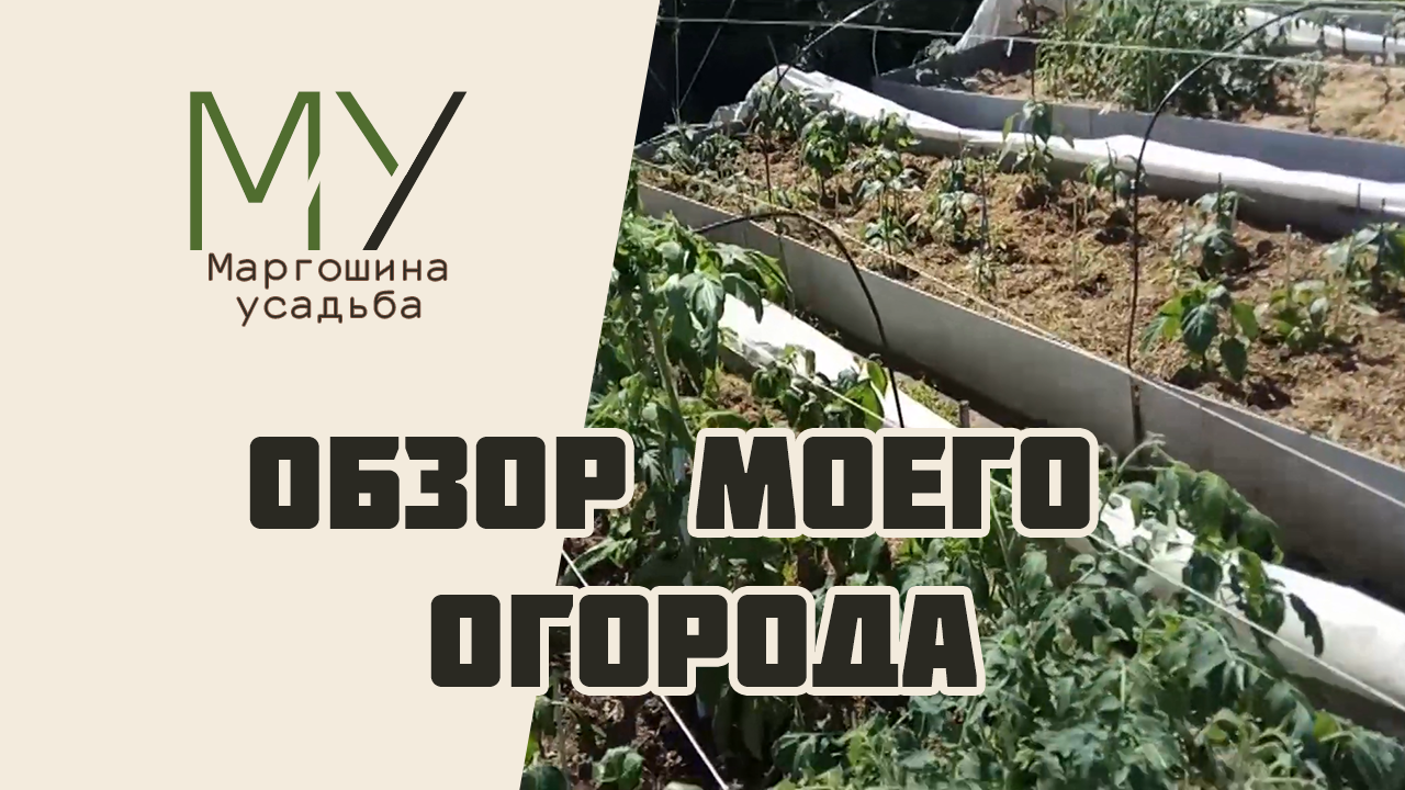 Обзор моего огорода