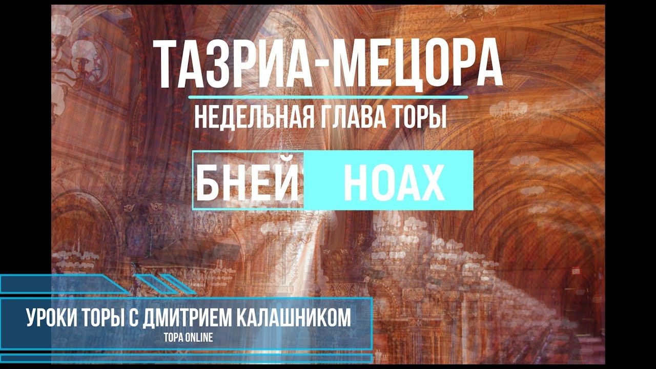 Недельная глава ТАЗРИА и МЕЦОРА - уроки ТОРЫ для народов мира от Дмитрия Калашника.