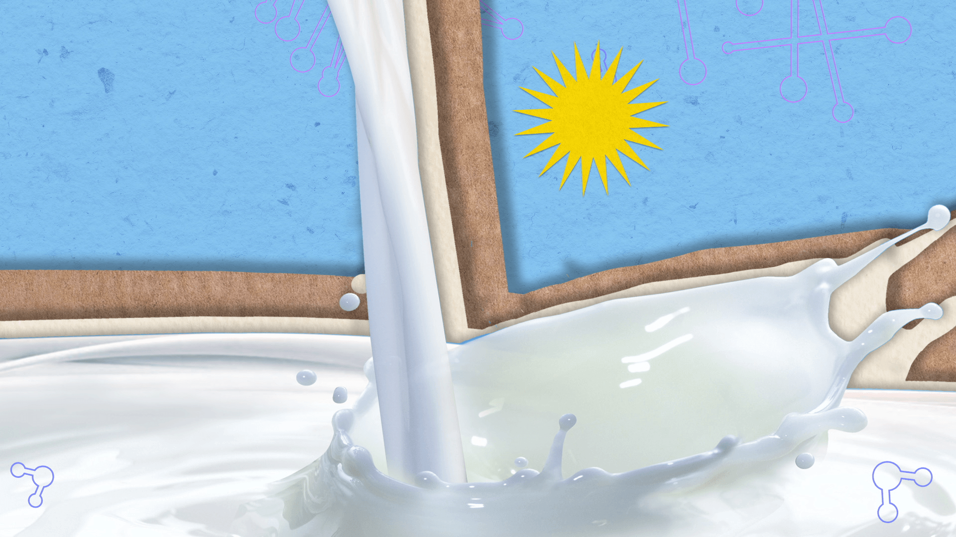 Моушн-дизайн для образовательного проекта