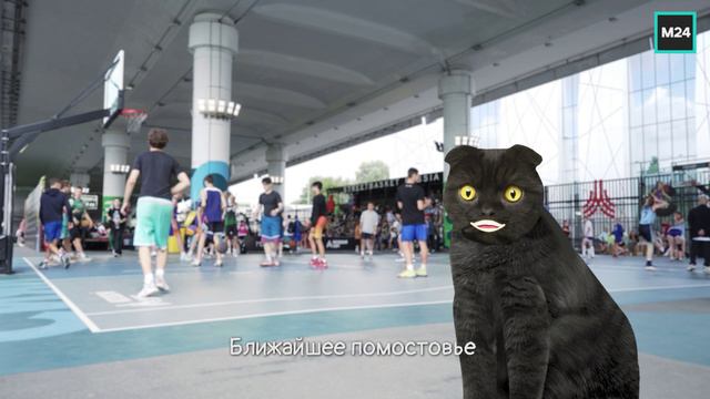 Мультиспортивная площадка в Лужниках | Кот Бублик