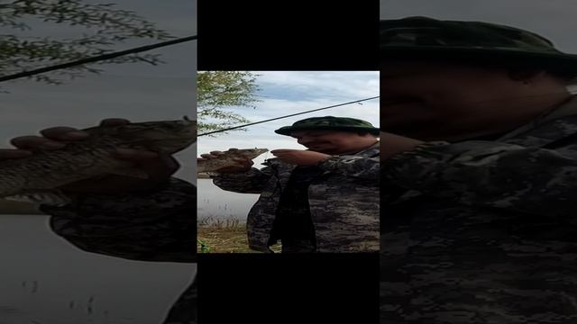 Однажды на рыбалке.