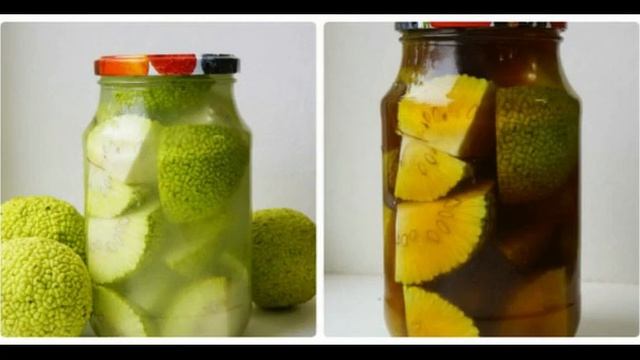 Маклюра спасёт жизнь