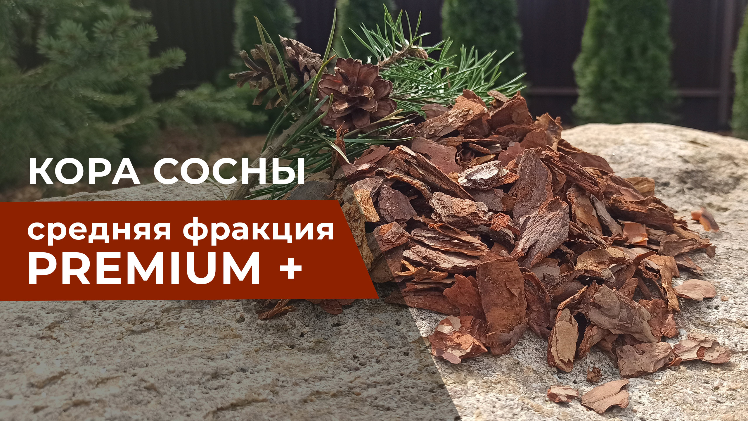Мульчирование - кора сосны средняя фракция