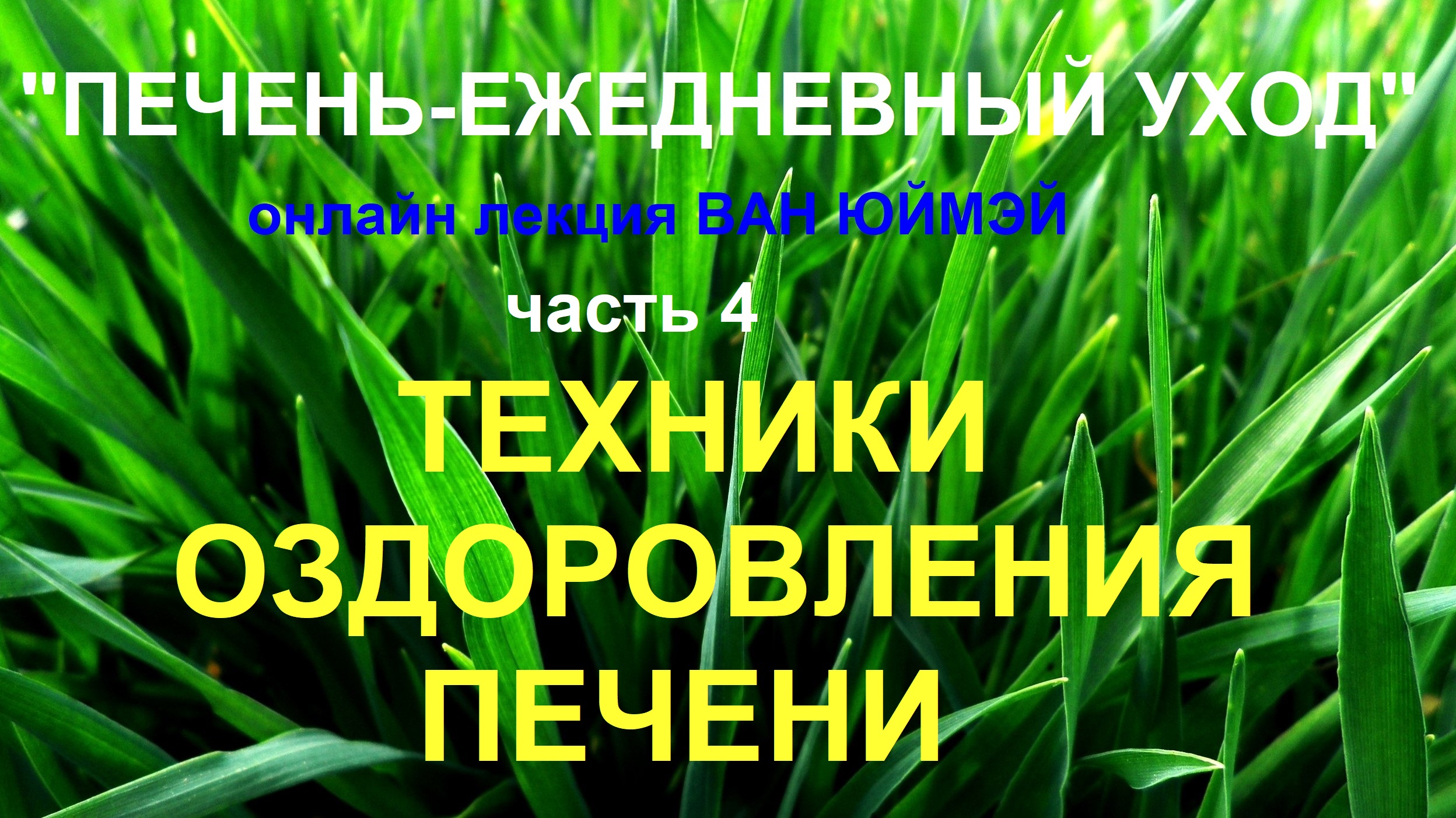 4. Техники оздоровления печени.
