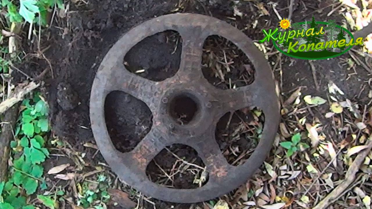 В ЭТИХ ЗАРОСЛЯХ ДЕРЕВЬЕВ НИКТО НЕ КОПАЛ! СИГНАЛЫ ПОЧТИ НА КАЖДОМ ШАГУ! Коп металлолома (1)