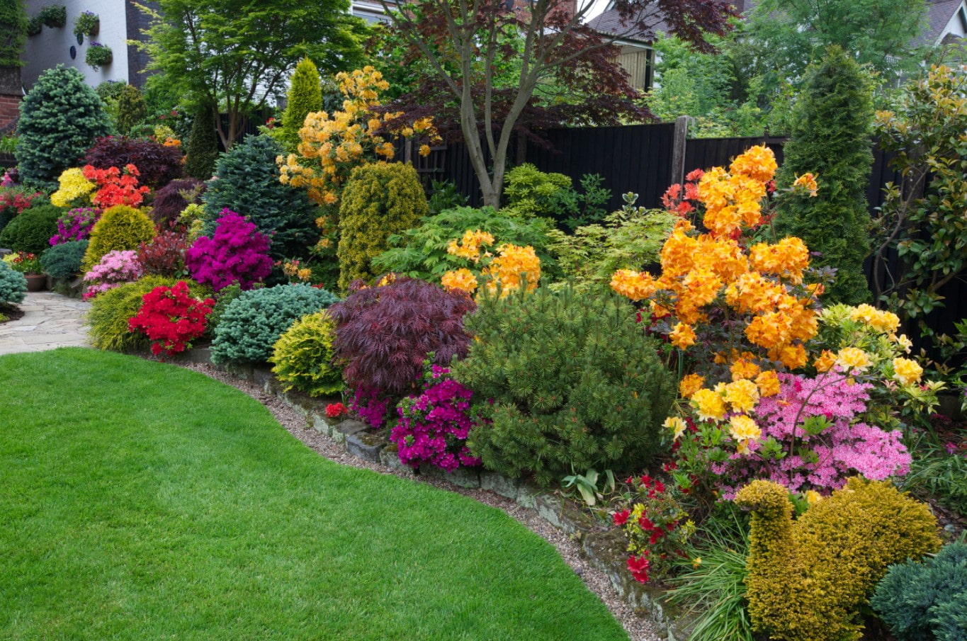 ArtFuture Design Summer Day-2. 
Лекция "Миксбордеры. Создание зеленого оазиса"