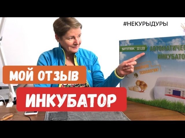 Инкубатор для перепелов. Обзор.