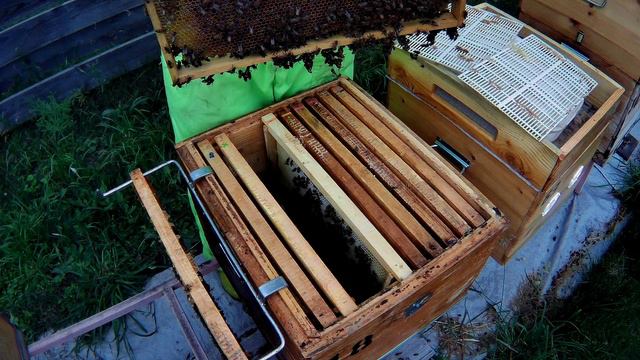 2023_0708_163847_098