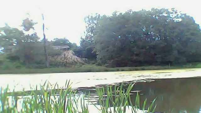 Прощание с летом.mp4