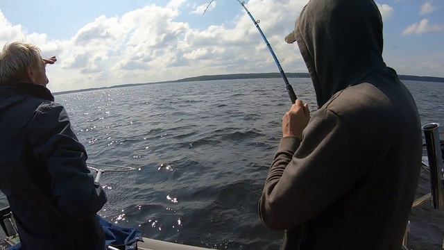 Отличная рыбалка и отдых на реке Свирь в разливах. Крупная щука, окунь, лещ и чехонь.