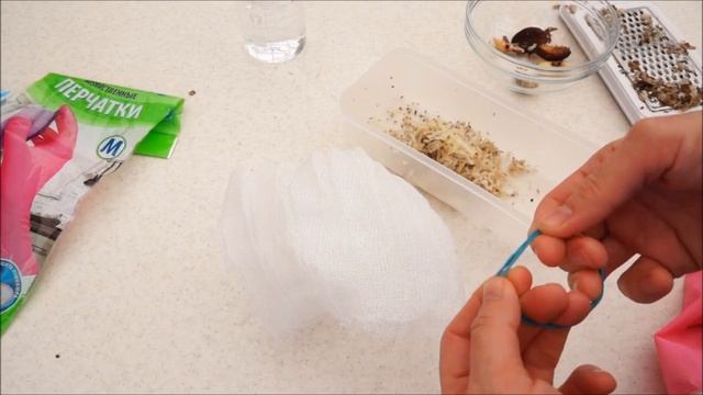 Капли цикламена рецепт