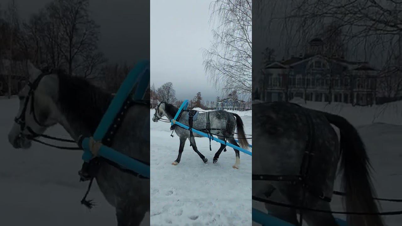 Усадьба Гальских Череровец