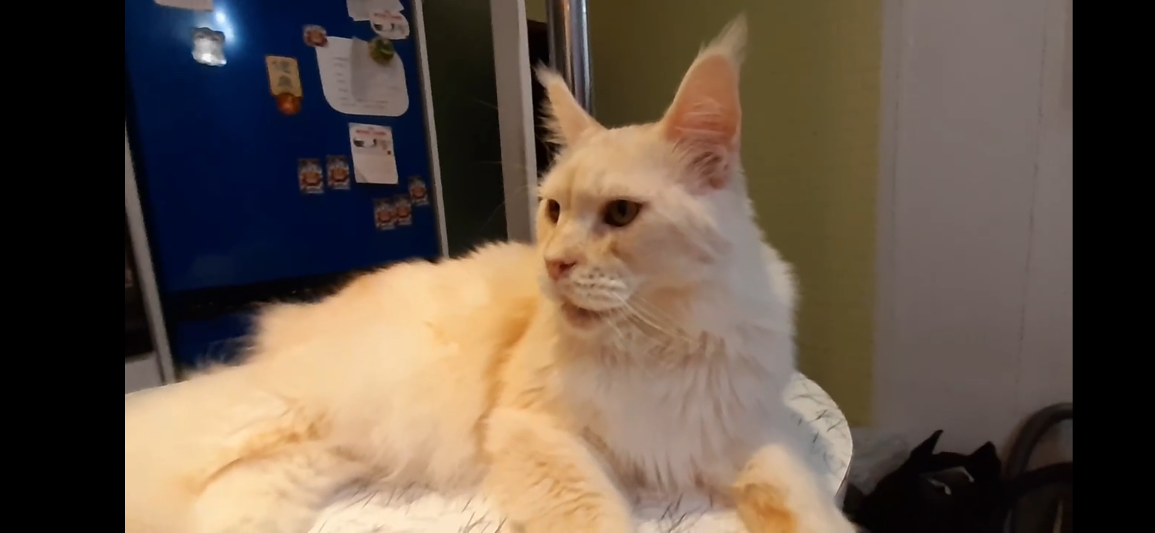 Распаковка камина-светильника