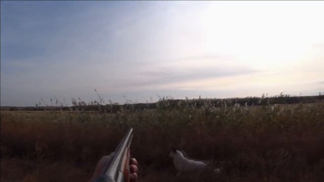 лучшие выстрелы и  красивые моменты  охотничьего сезона 2020-2021 (бакс продакшн и гоп компания).mp4