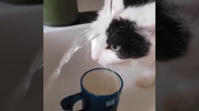 Доброе утро^^