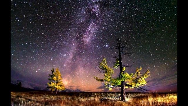 У каждого свой скелет в шкафу. Какабадзе.