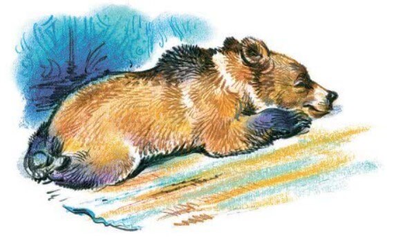 Аудио-рассказ "Медведко", Д.Н.Мамин-Сибиряк. Для детей 6-7 лет.