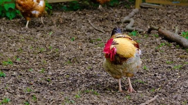 Статья 245 УК на практике| разговоры с коллекторами