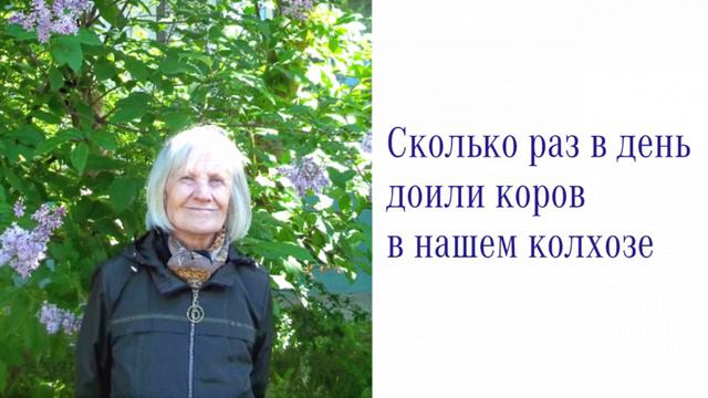 Сколько раз в день доили коров в нашем колхозе
