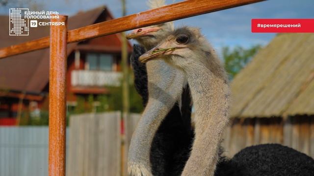 КЕМСКИЙ РАЙОН| ВРЕМЯ ВАЖНЫХ РЕШЕНИЙ