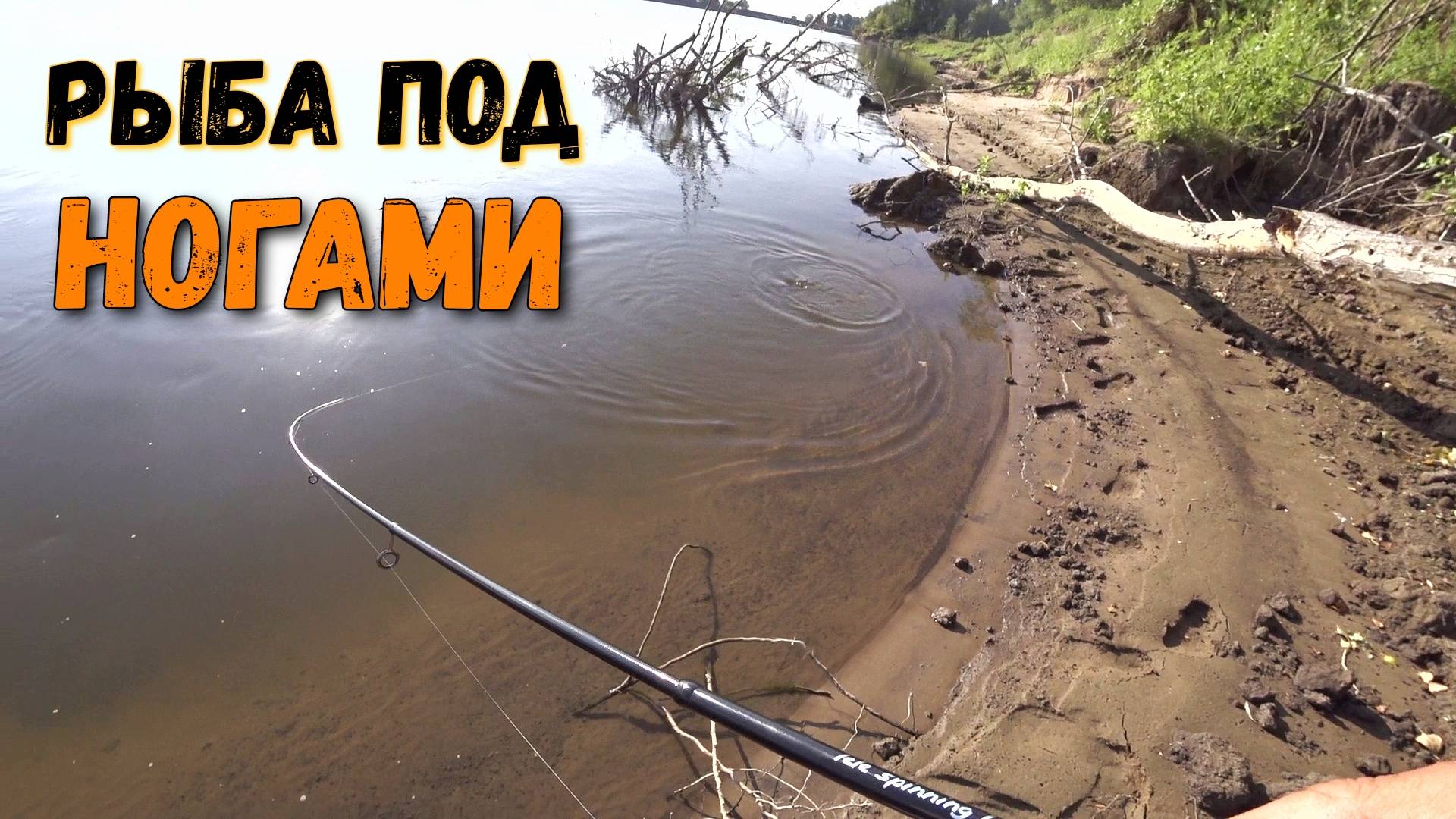 Мормоколебалки вдоль берега с ТелеТен 150