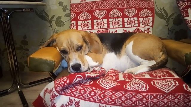 Бессонница.mp4