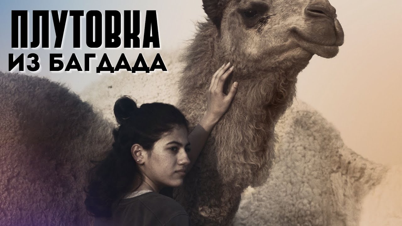 Плутовка из Багдада | заключительная часть