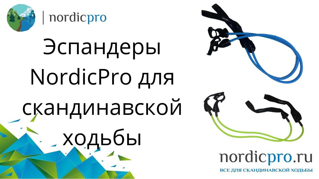 Эспандеры для скандинавской ходьбы NordicPro