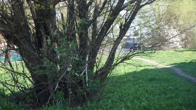 Ford Transit Скорая помощь с сиреной и проблесковыми маяками